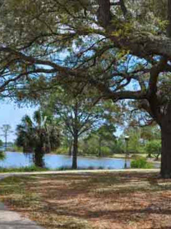 The Navy Point Area | Pless Landing | FL